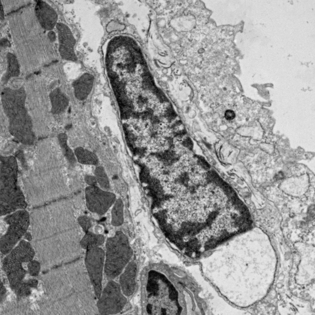 Proyectos – AU·SIS